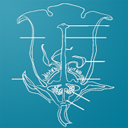 Login - Vancouver School District